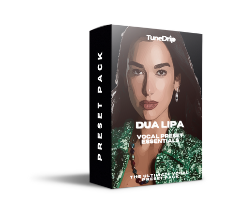 Drake Vocal Presets – Get His Smooth & Melodic Sound Instantly